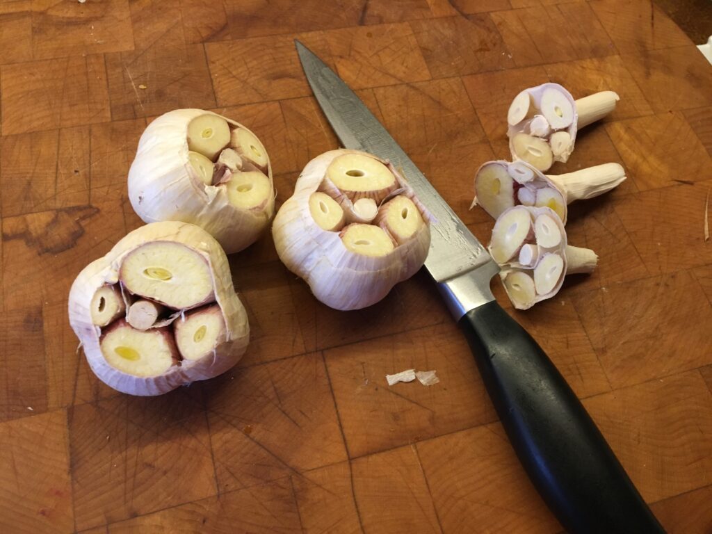 Explore Garlic - Double Decker Farm